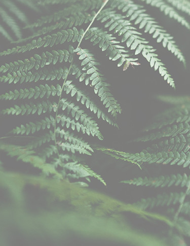 Whiteware and Appliances | Betta Electrical